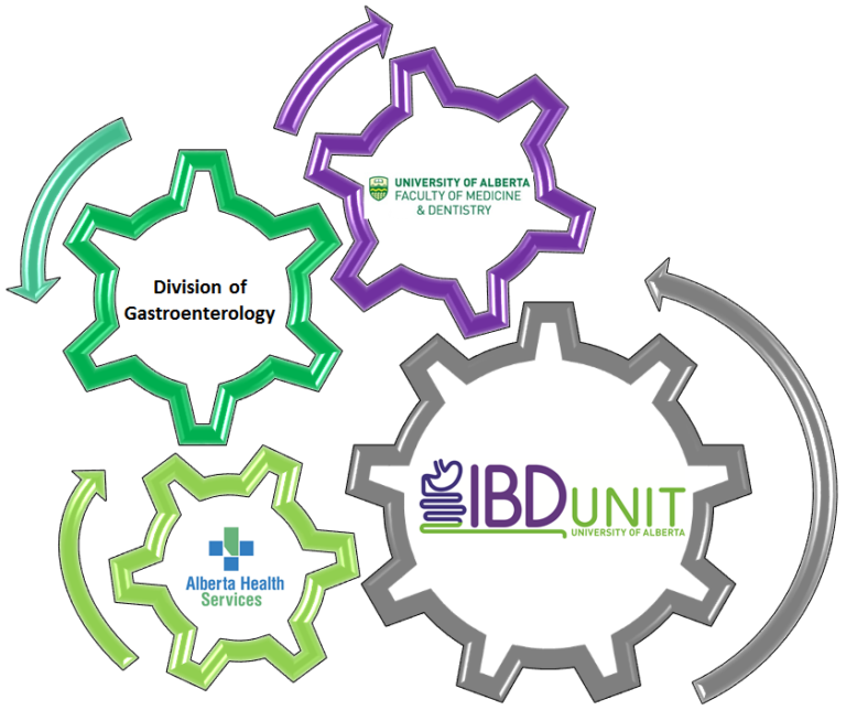 About us - IBD Clinic
